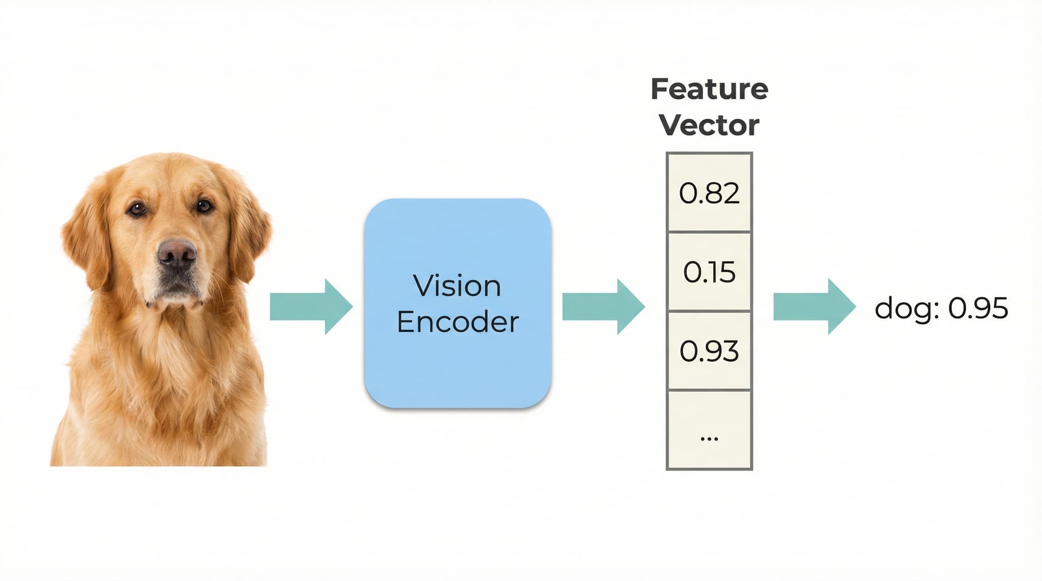 Vizuara AI Pods — Learn AI from First Principles